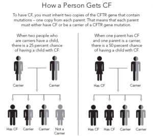 Carrier Testing How A Person Gets Cystic Fibrosis Infographic | Cystic ...